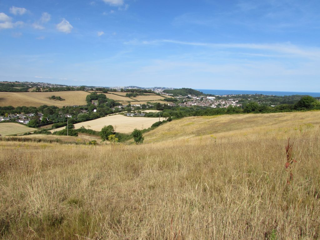 Little Blagdon Farm, Collaton St Mary - Burton Reid